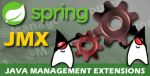 Integrating Java JMX Managed Beans using Spring and Annotations ...
